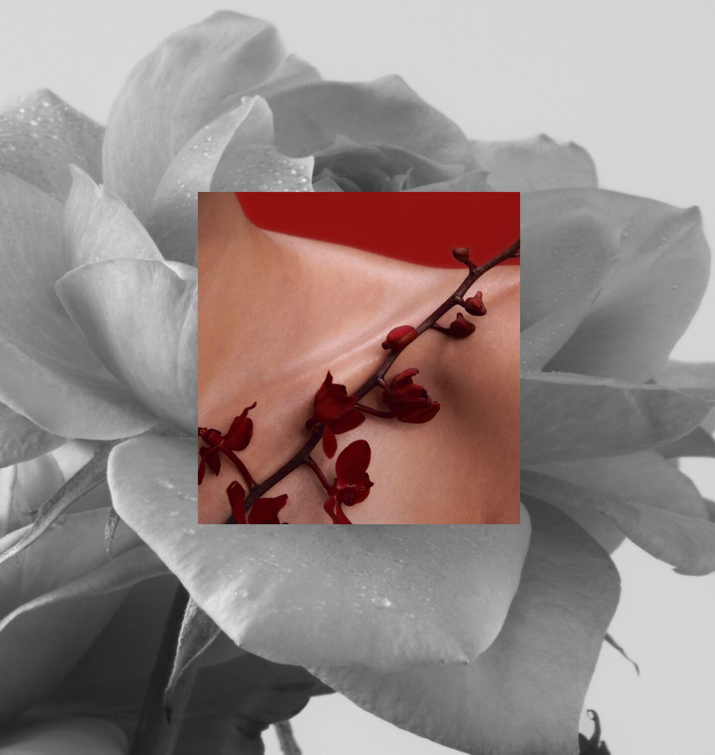 Stockists | Chalon Paris