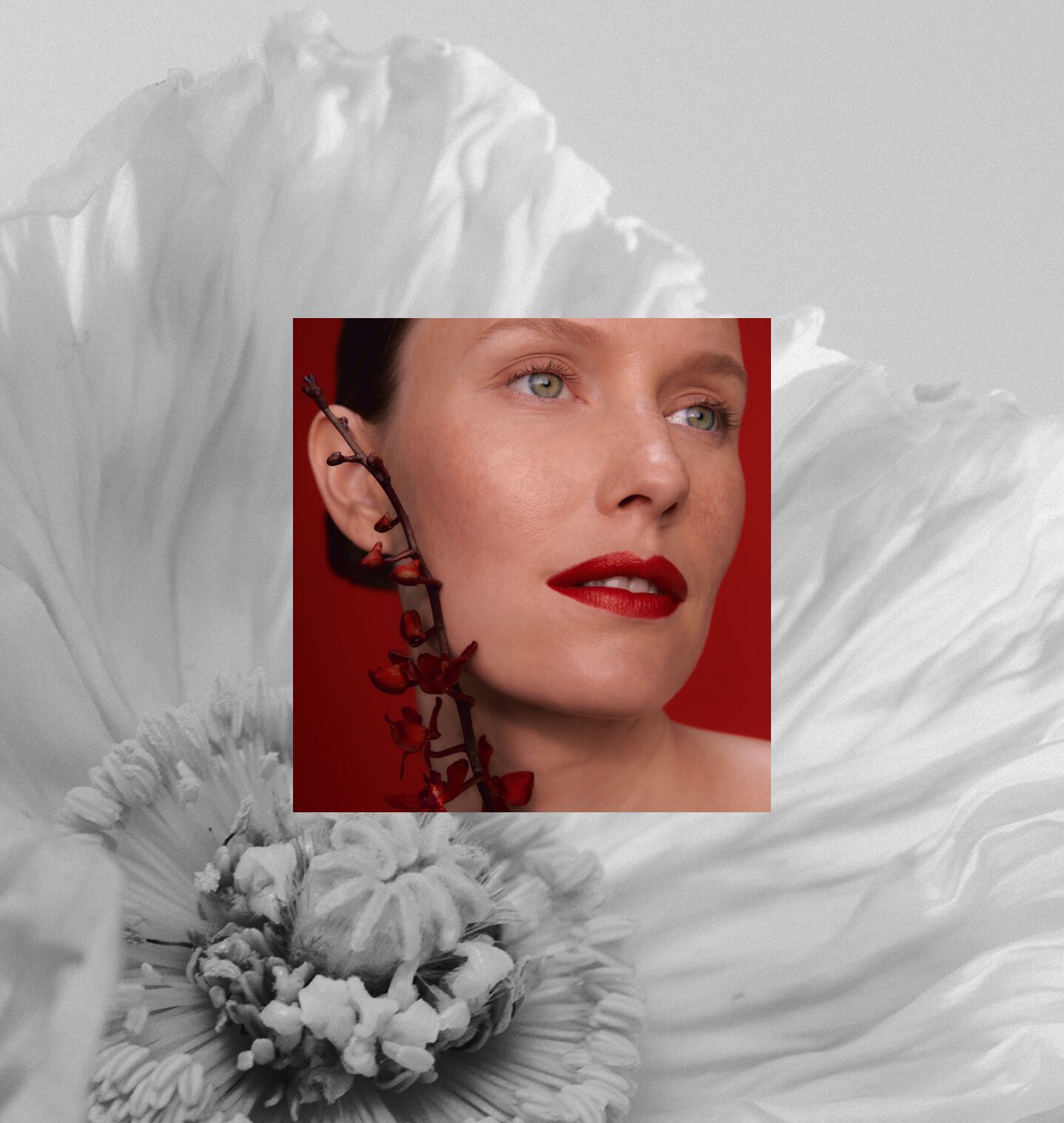 Our Scents | Chalon Paris